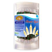 50-LED Warm Glow Multicolor Traditional Mini Light Set - 6611947 | HSN