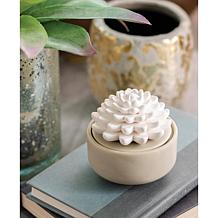 Candles & Home Fragrance | HSN