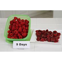 Debbie Meyer Green Boxes | HSN