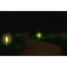 Solar Outdoor Lighting | HSN