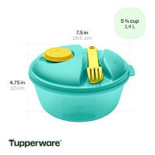 Tupperware Food Storage Containers | HSN