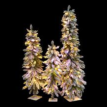 Winter Lane | Christmas Trees, Artificial Topiary & Holiday Décor | HSN