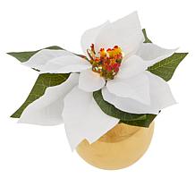 Winter Lane | Christmas Trees, Artificial Topiary & Holiday Décor | HSN