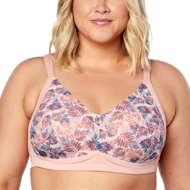Hsn Rhonda Shear 2 Pack Molded Cup Bra With Mesh Overlay Tvshoppingqueens