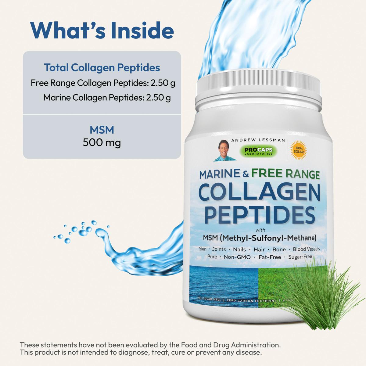 Andrew Lessman Marine and Free Range Collagen Peptides with MSM - 60 ...