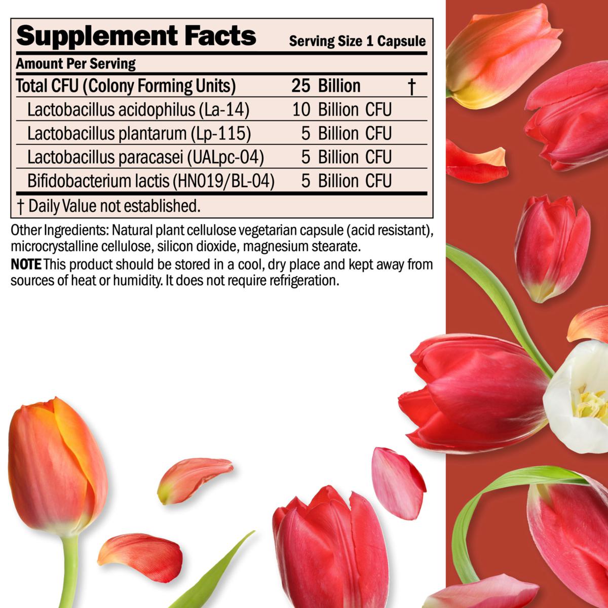 Andrew Lessman Ultimate Friendly Flora - 240 Capsules | HSN