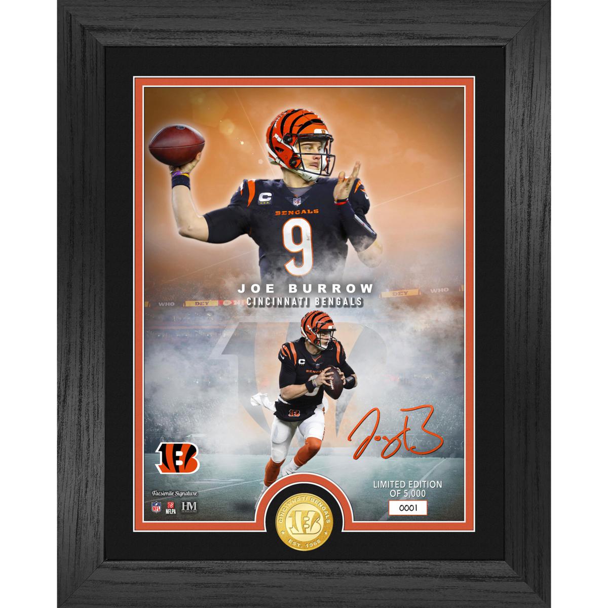 Officially Licensed NFL Stadium Frame - Bengals - 23369671 | HSN