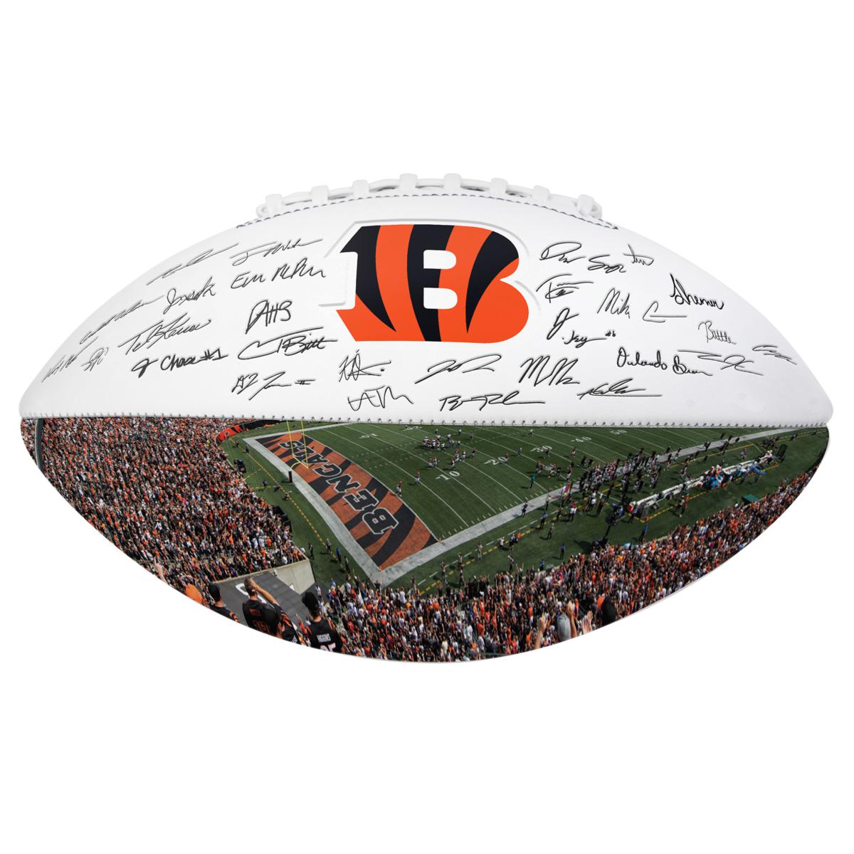 Officially Licensed NFL 2025 Autograph Football by Logo Brands ...